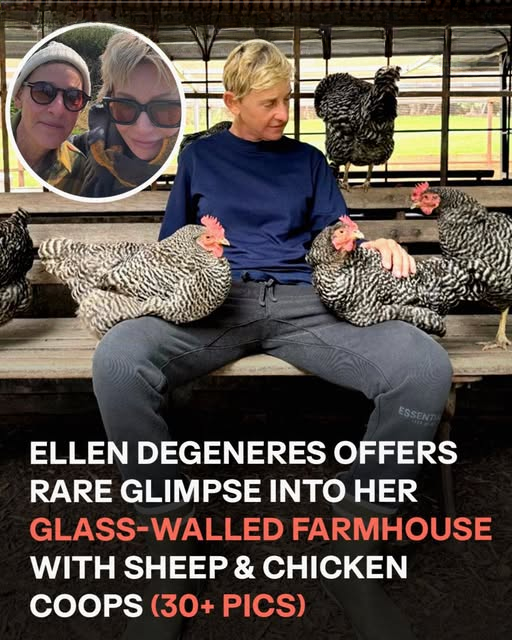 Inside Ellen DeGeneres’ Stunning Cotswolds Retreat – 30+ Exclusive ...