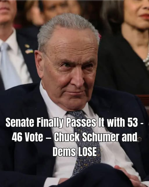 Senate Confirms Anne-Leigh Moe as Federal Judge in Florida—Another Win ...